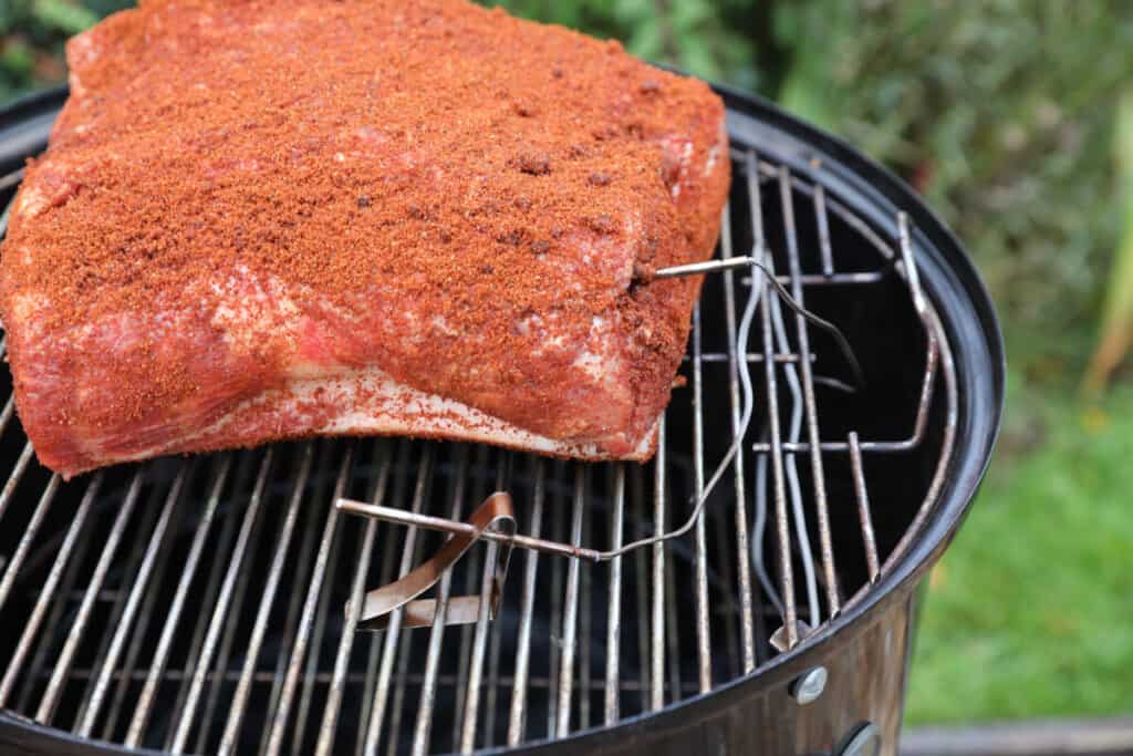 ThermoPro TP-08 Review — Wireless, Dual Probe BBQ Thermometer