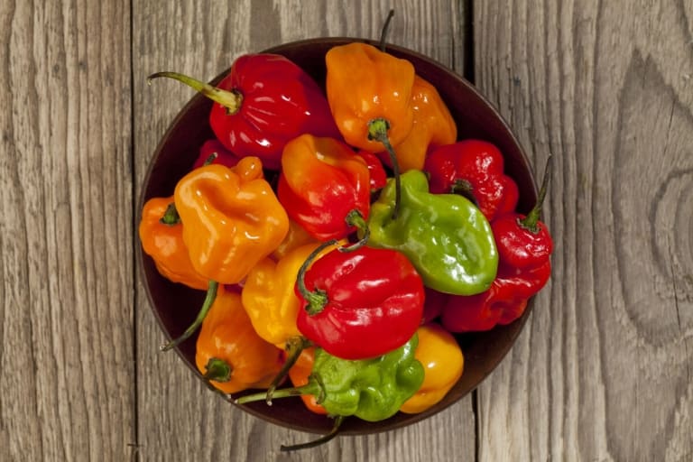 Types of Chili Peppers, Their Taste, Uses, and Heat on the Scoville Scale