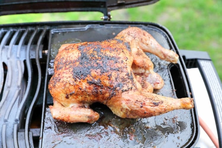 Napoleon TravelQ Pro285 Review